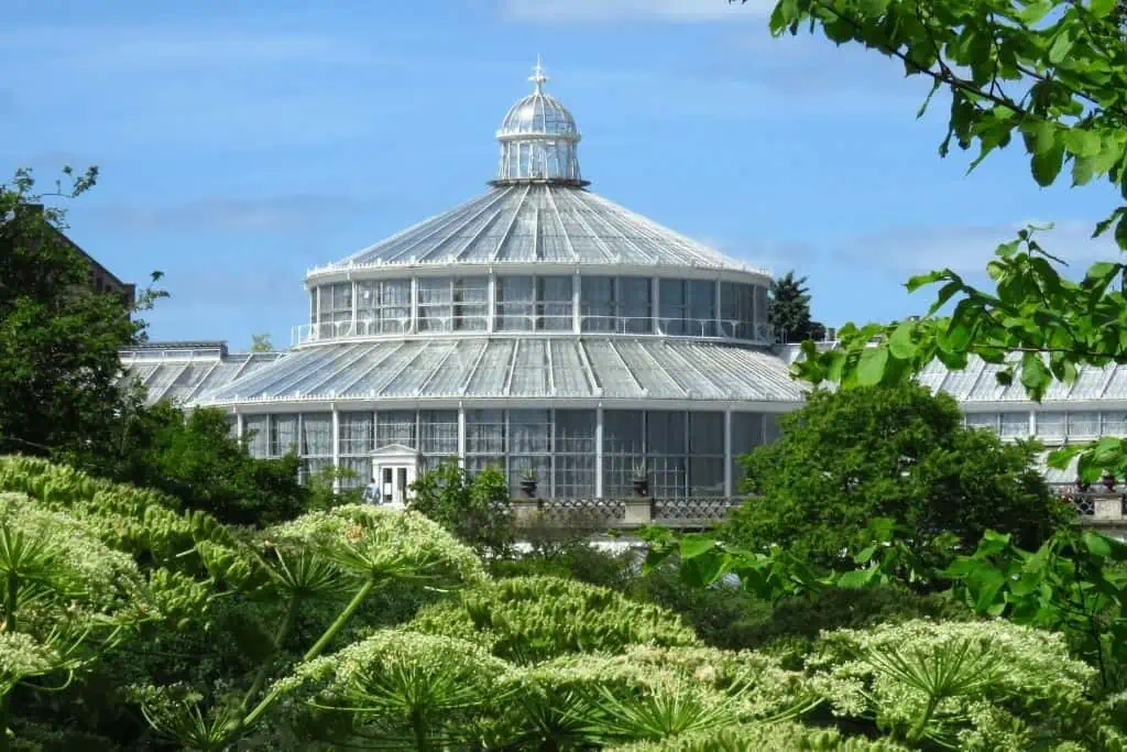 哥本哈根最好的公园和野餐地点——我的旅行之路欧宝体育app最新版欧宝平台登陆